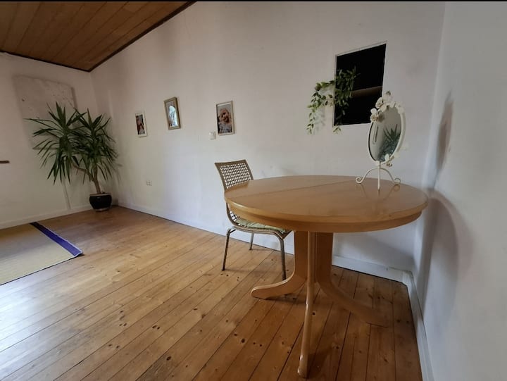 Zentrum &Donaunah - Kinder Und Tierfreundlich - Regensburg