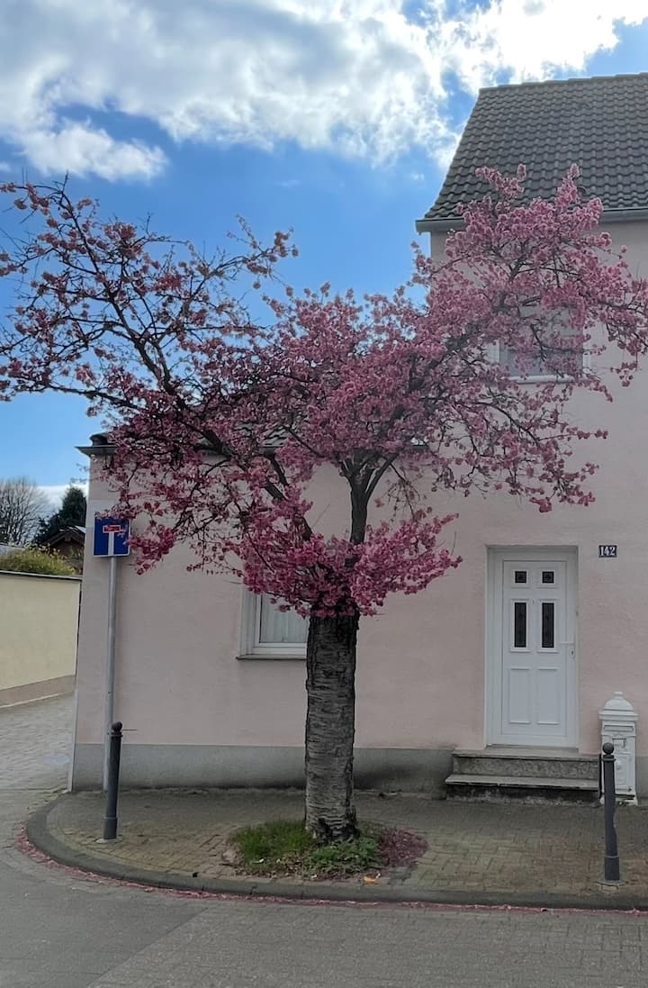 Maisonettewohnung 12km Nach Köln-city - Hürth