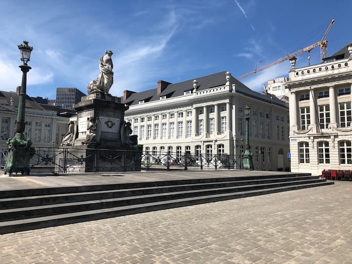 Penthouse Duplex  Plein Centre De Bruxelles - Bruselas