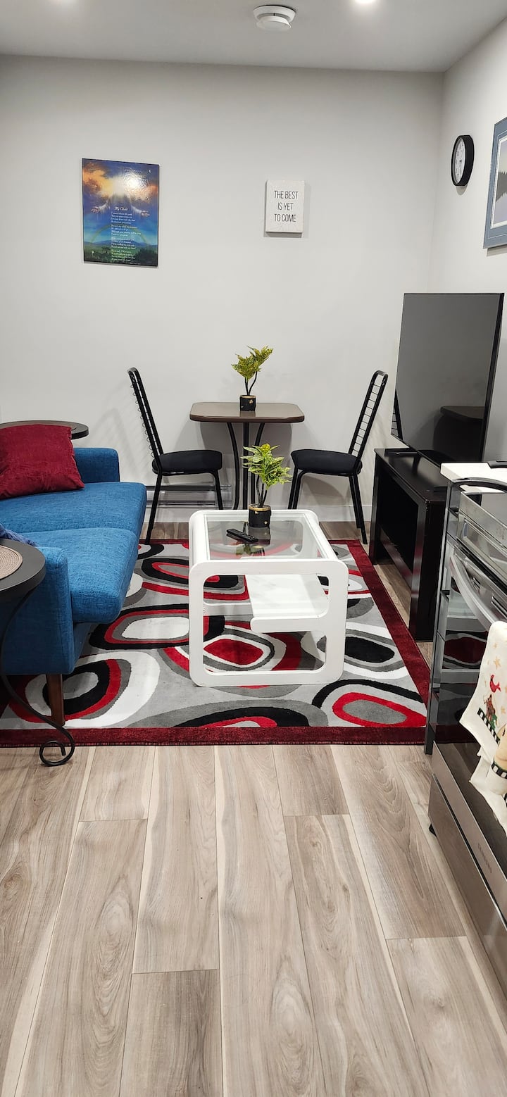 Cozy And Spacious 1 Bedroom Licensed Basement. - Regina