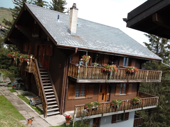 Bärgblüemli Eg Süd Appartement/fewo, Dusche Oder B - Bettmeralp