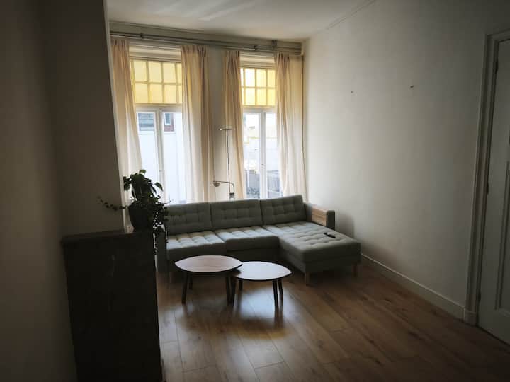 Vernieuwd Appartement Voor 4 Bij Noorderplantsoen - Groningen