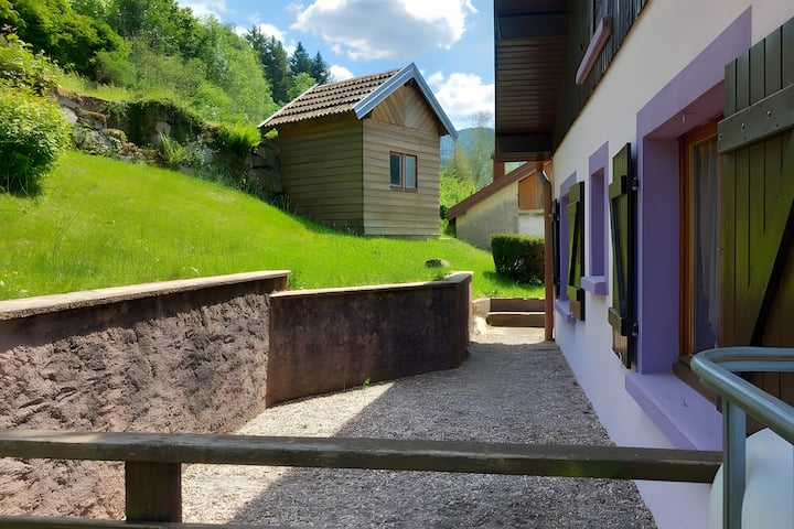 Chalet De Montagne - Bussang
