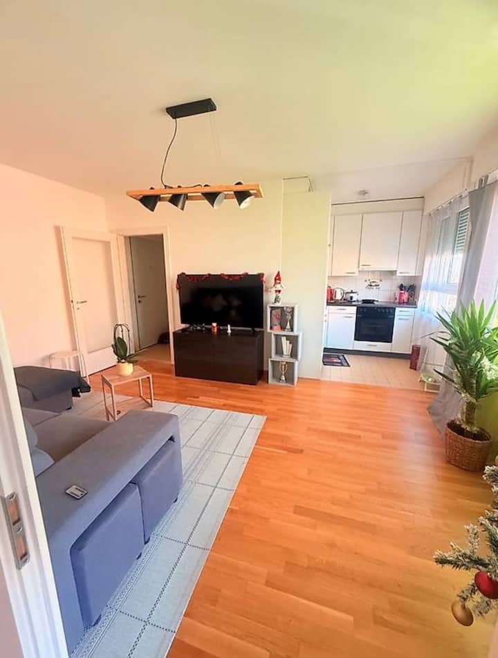 Bel Et Confortable Appartement Pour Vacances - Lausanne