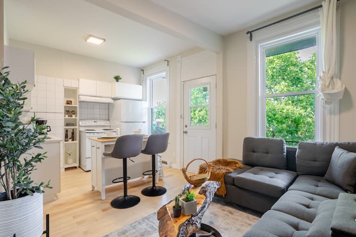 Beautiful Apartment Near Downtown & The Metro - LaSalle