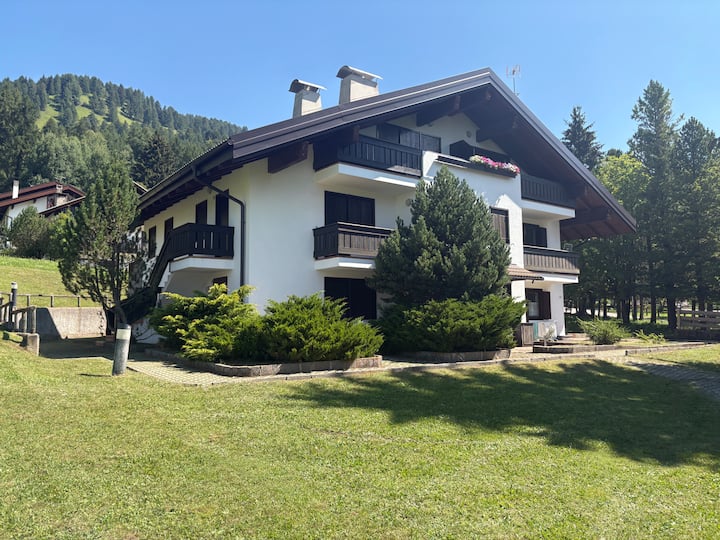 Val Di Fiemme Dolomiti Bellamonte Vista Lagorai - Predazzo