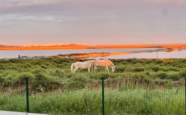 Studio à Salin De Giraud, Au Cœur De La Camargue - Camargue