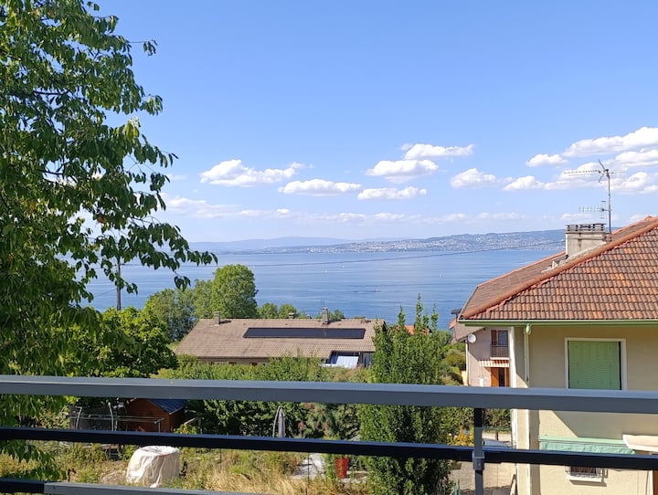 Maison 3 Chambres Entre Lac Et Montagne - Évian-les-Bains