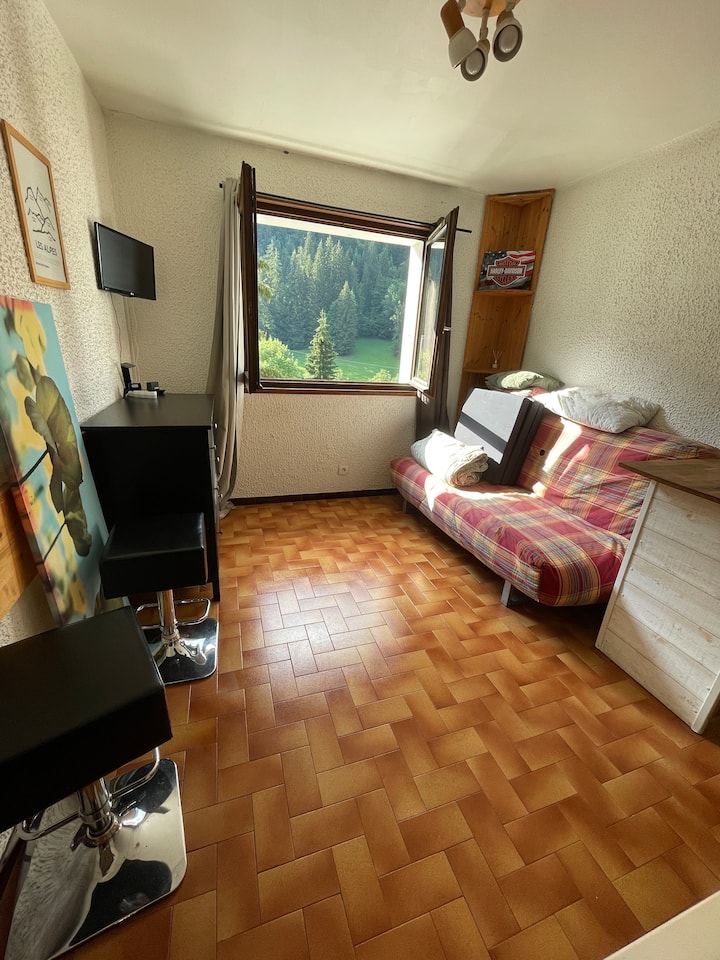 Studio Chatel - Châtel