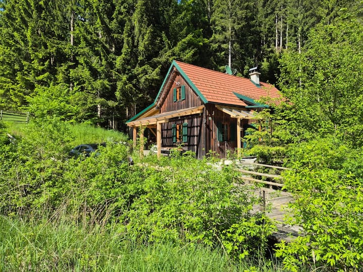 Lärchenhütte Mit Infrarotsauna - Teichalm