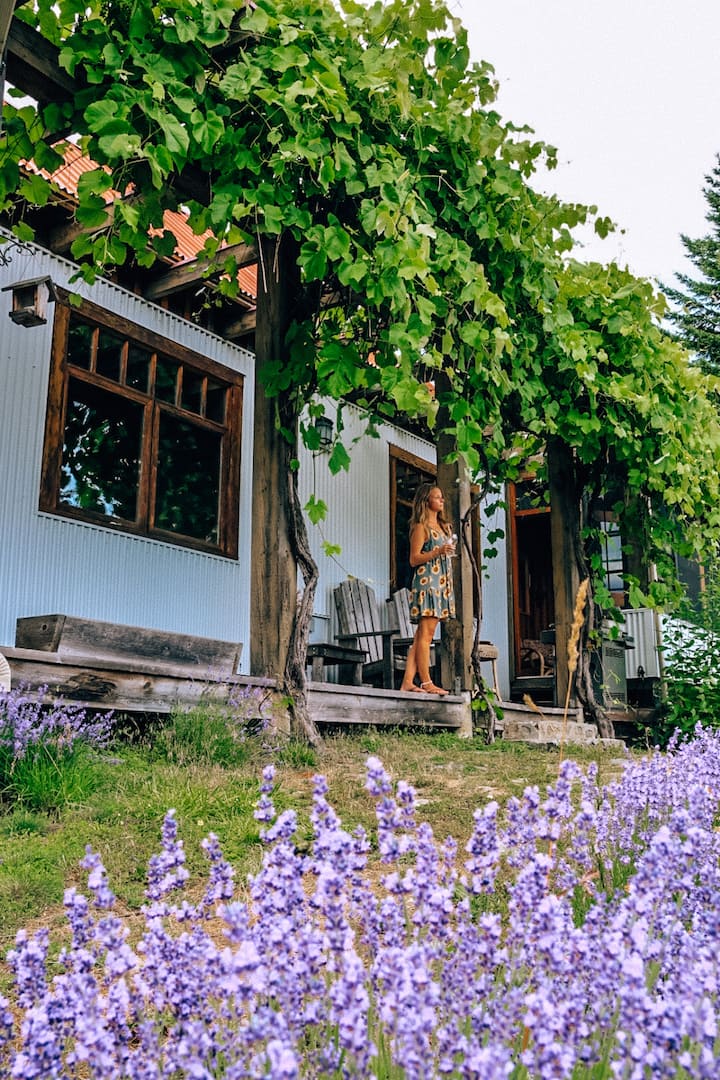 Lavender Cabin | Sauna | Sleeps 10 | Larch Hills - Enderby