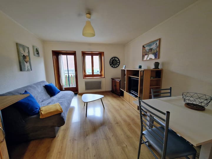 Cosy T2 Avec Balcon, Entre Annecy Et Genève - Lac des Dronières
