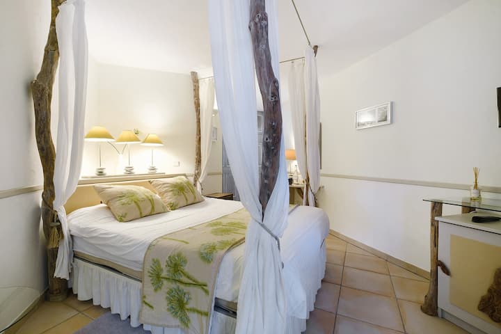 Agapanthe - Tourrettes-sur-Loup