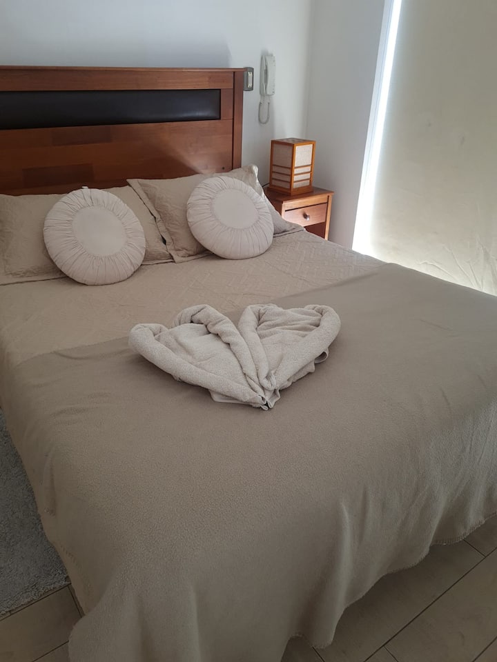 Rebajado! Deluxe Metro Moneda 1 Dorm + 1 Sofá Cama - Santiago
