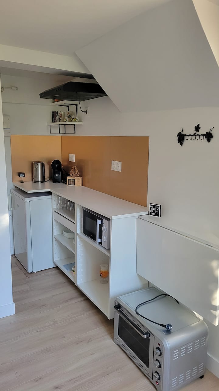 Dépendance Indépendante Au Calme - Vitry-sur-Seine