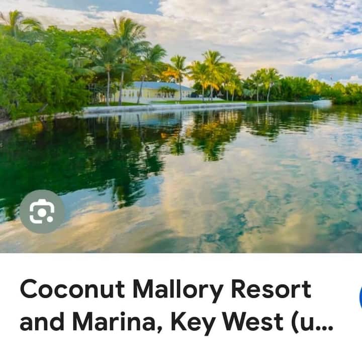 Spend A Fun Filled Week In Key West Florida~ - Key West, FL