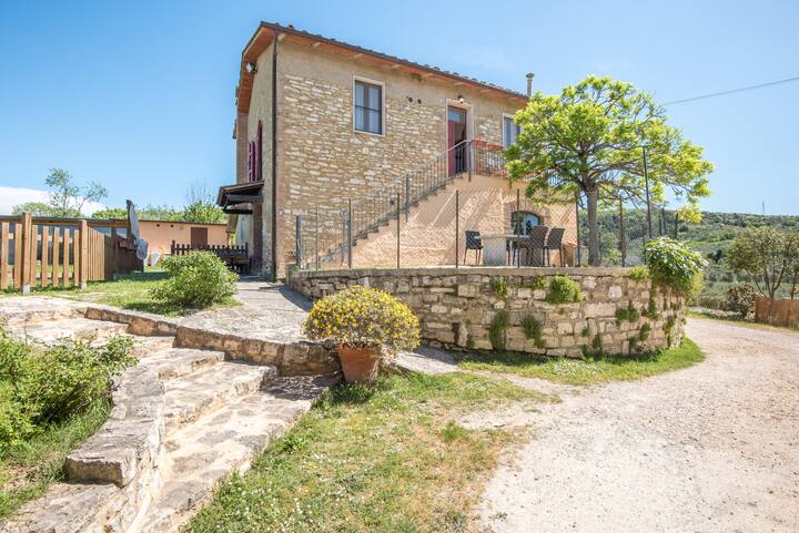 Podere Del Pereto Bio- 203 - Rapolano Terme