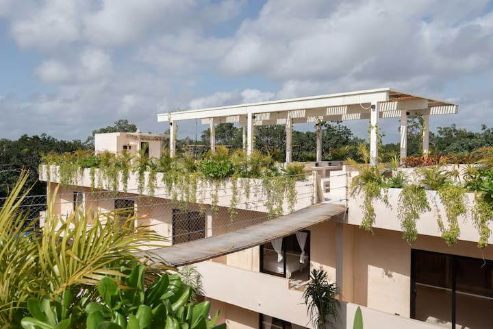 Cocay 104, Swim Up, Oasis Pool, Amenities Deluxe - Mexico