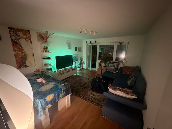 Room Near To Luzern Main Station - Lucerne