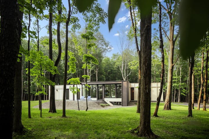 The Woods | Luxury, Pool, Fire Pit, Hot Tub - Woodstock, NY