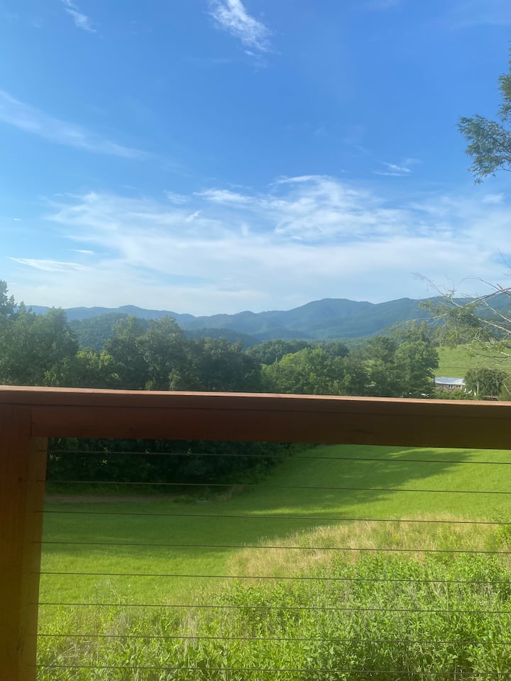 The Birdhouse - Hot Springs, NC