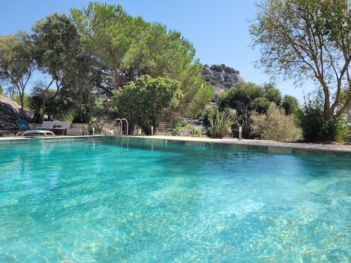 Grande Maison Au Calme Avec Piscine - Le Pradet