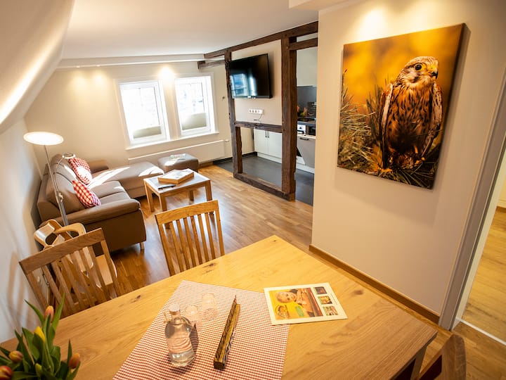03 | Familienhof & Ponyreiten | Falkenhorst 60 M² - Schmallenberg
