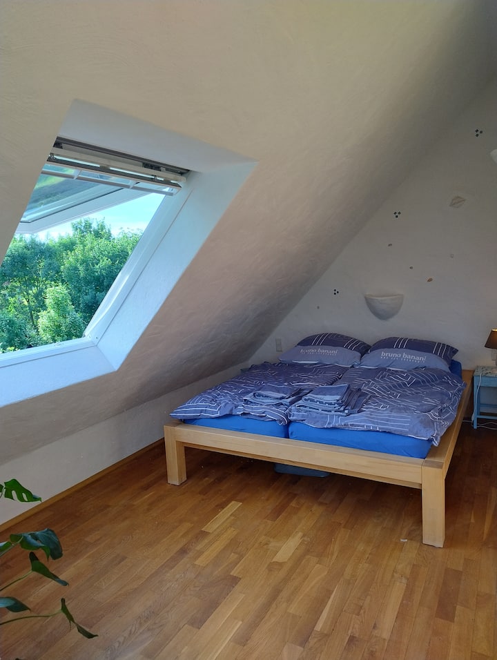 Helles Klimatisiertes Messezimmer - Düsseldorf