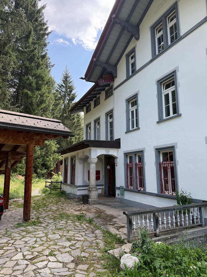 Altbau Apartment Mit Charme Und Geschichte - Davos