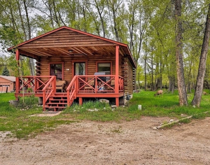 1 Br Beautiful Log Cabin Nestled In Buena Vista Co - Buena Vista, CO