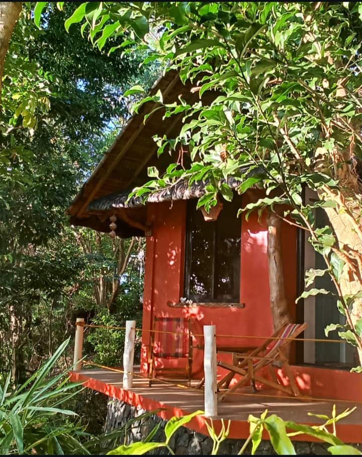 Homey Hut
Ghecko's Resthouse - Mabini