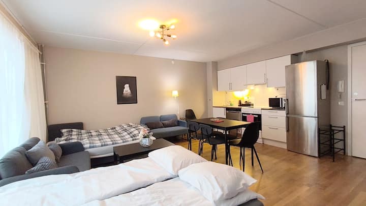 Rubina Ranas Gate Apartment - Oslo