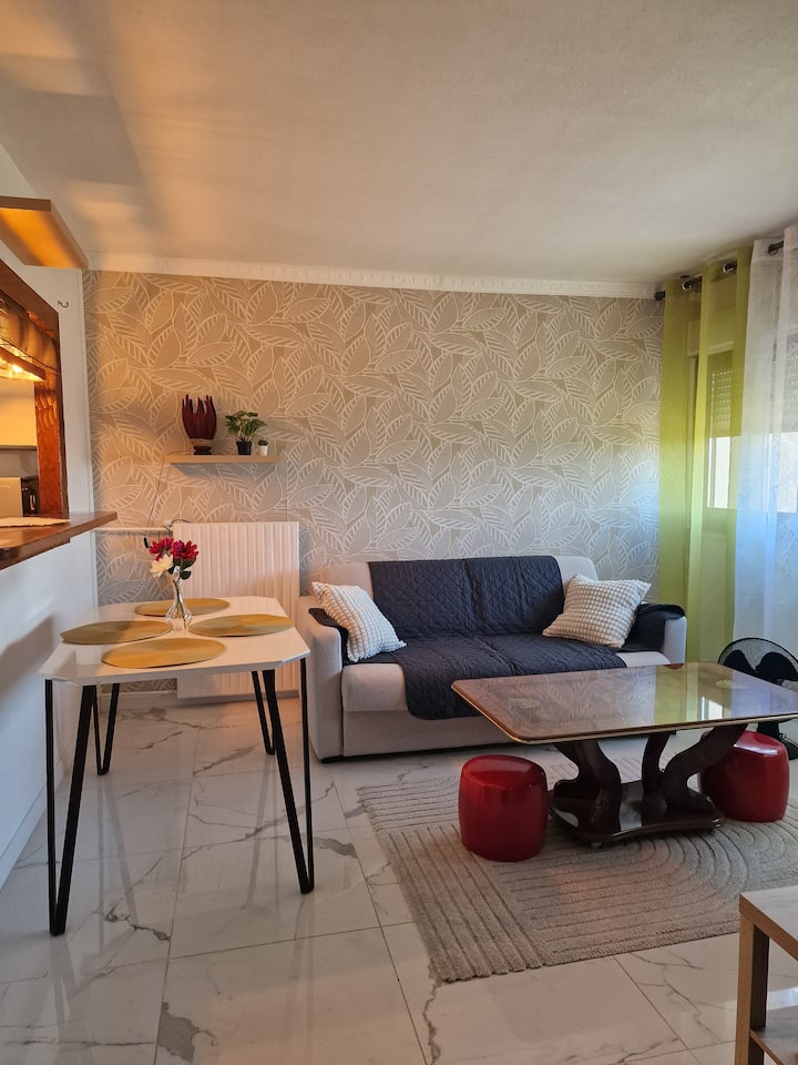 Appartement Confortable Et Idéalement Situé - Talence