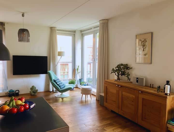 Cosy Quiet Appartment In Centre Of Amsterdam - Amsterdam