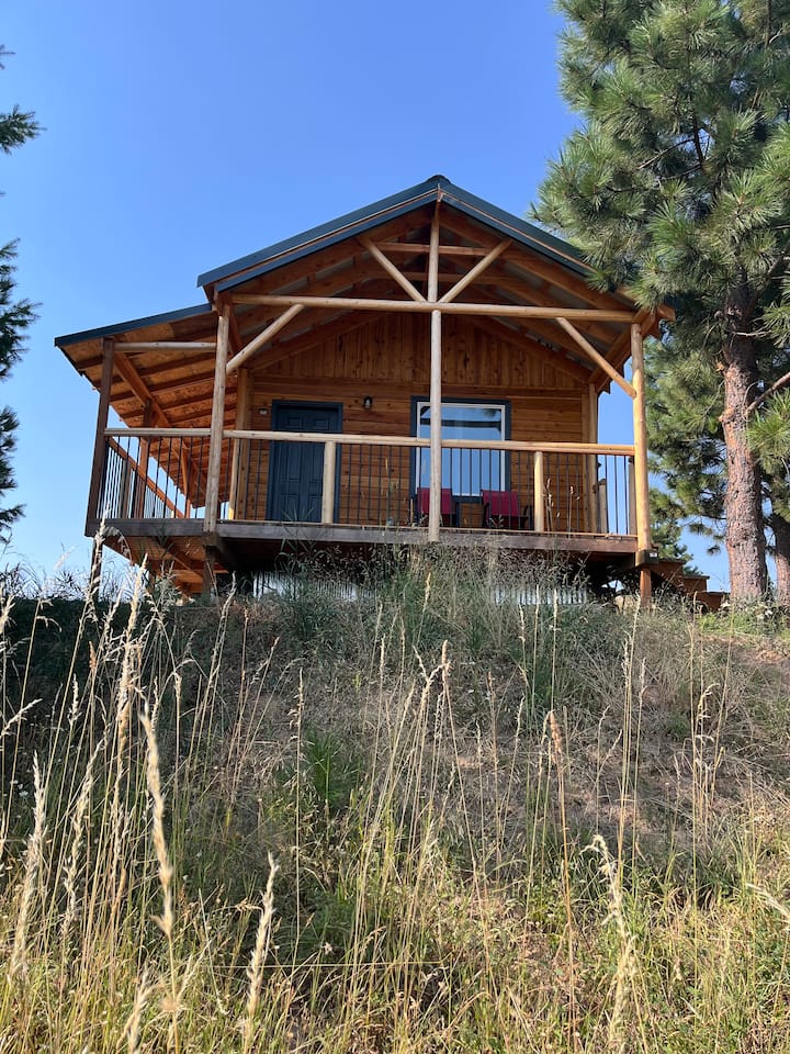 New! Hunters Hangout Cabin 2! - Dworshak State Park, Lenore