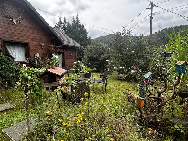 Chalet Du Champs Des Semeaux - Schirmeck