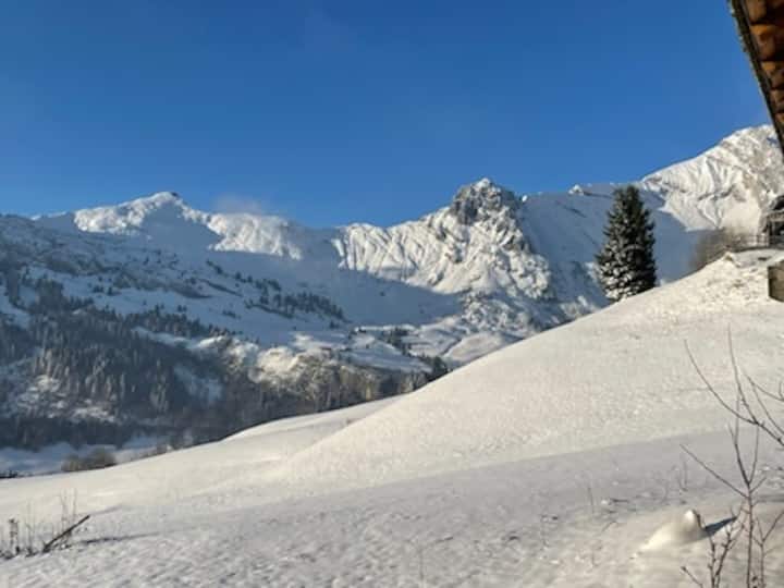 La Toundra Au Cœur Du Domaine Du Grand Bornand - La Clusaz