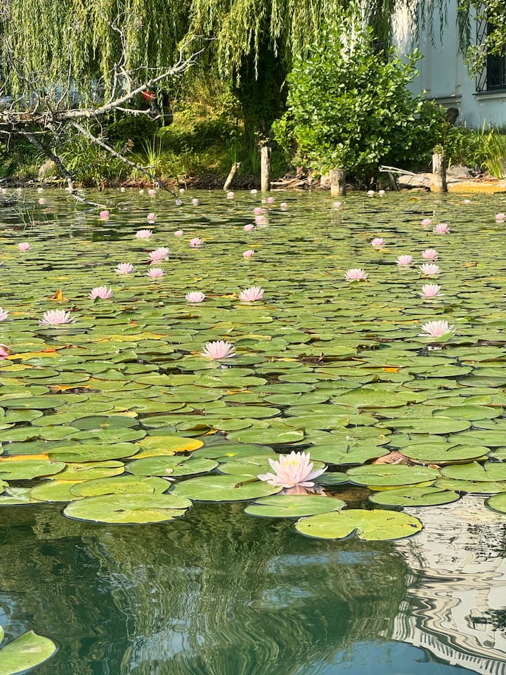 Schöne Panorama Wohnung In Klagenfurt - Klagenfurt