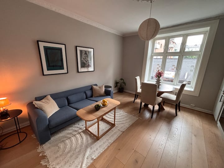 Cosy City Flat Excellent Transport Links - Oslo