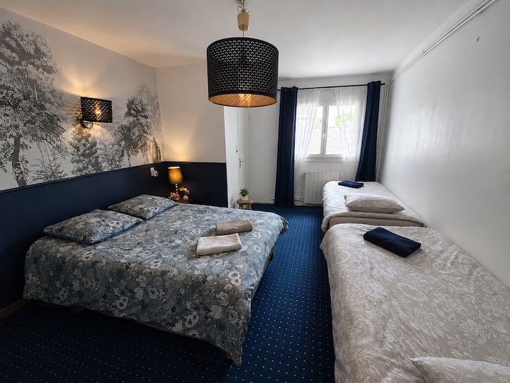Chambre Lumineuse De 4 Centre Lourdes - Adé
