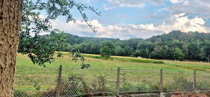 Lourdes: Campagne & Nature - Studio Terrasse (Pmr) - Lourdes