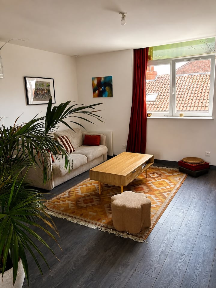 Appartement Cosy  Lille  Garage  Transports - Seclin