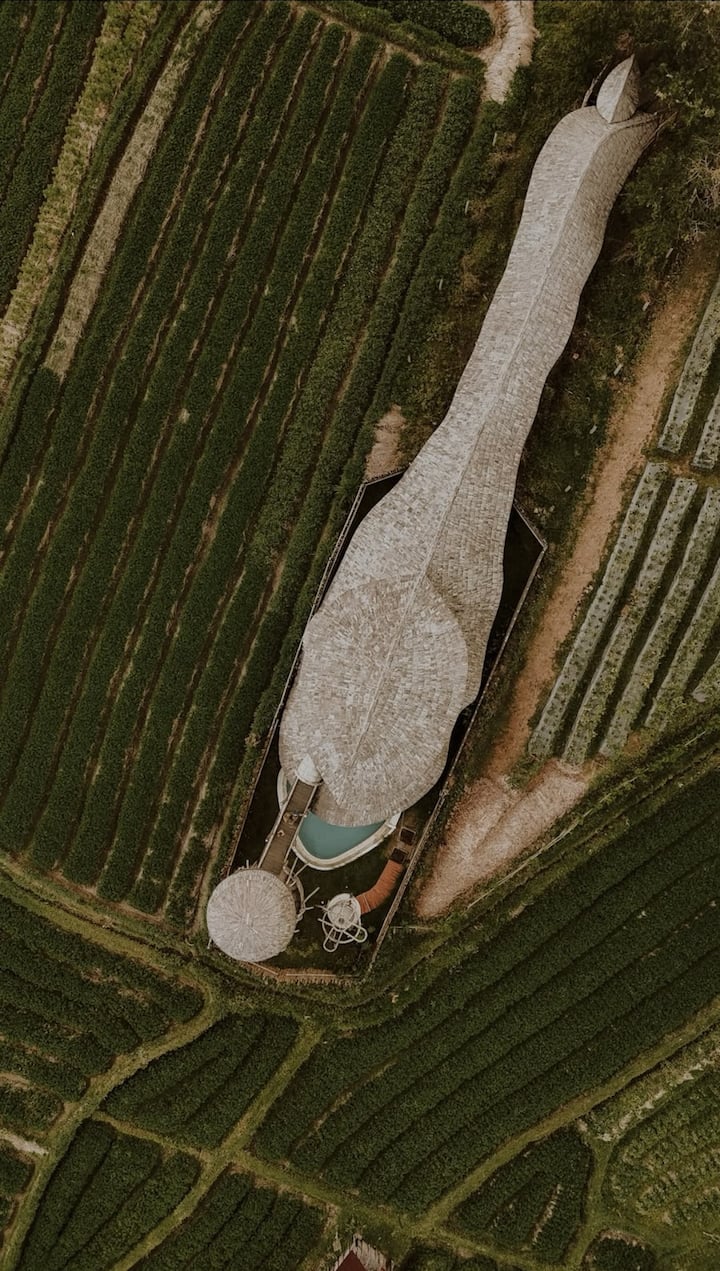 Manta Bamboo Villa In Sidemen Bali Swimming Pool - Sidemen