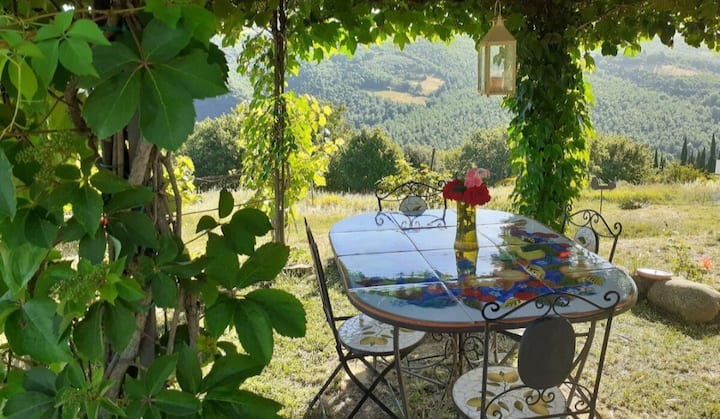 Appartamento Nel Cuore Del Chianti San Donato In P - Toscane