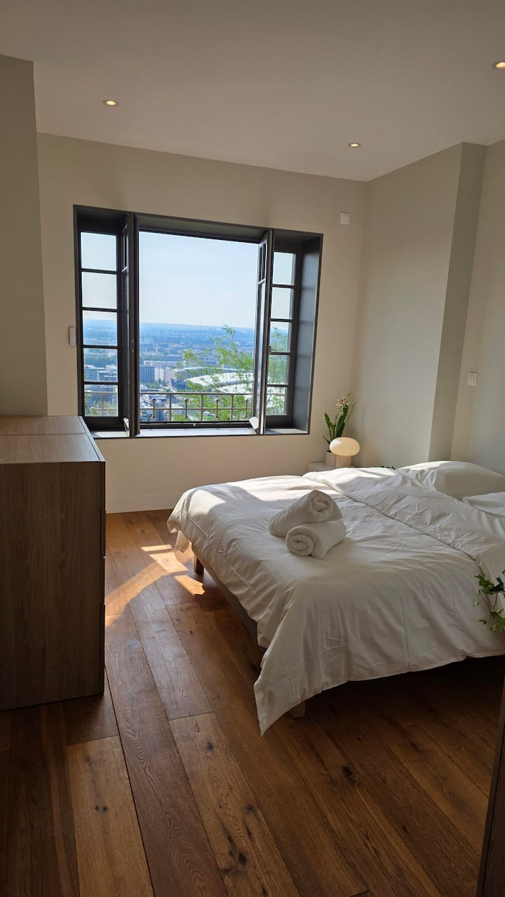 Hôtel Privé Du Baron Vue Dégagée Sur Tout Lyon - Lyon