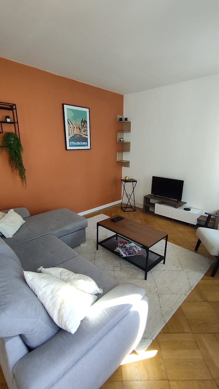 Charmant Duplex à Strasbourg - Straatsburg