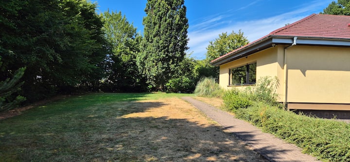 Event- / Partylocation Villa Cocoon - Dahn