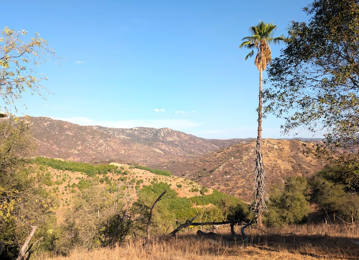 Cozy Escondido 600 Sq Ft Adu With Hillside Views - Escondido, CA