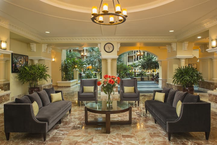 1br 2queens + Minutes From The Airport & Shuttle - Tampa, FL