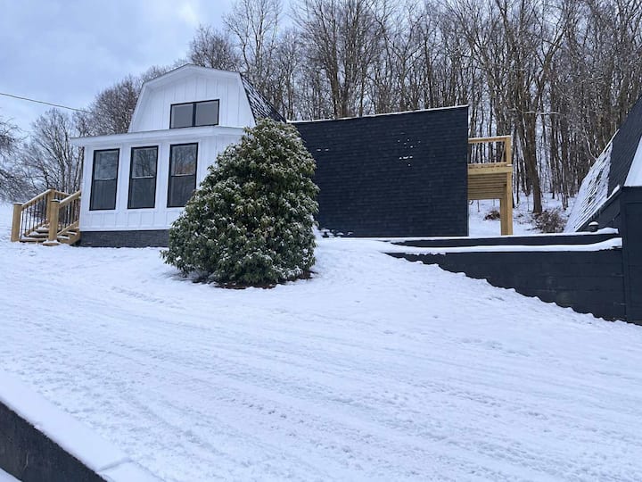 Wild Mountain Chalet - Davis, WV